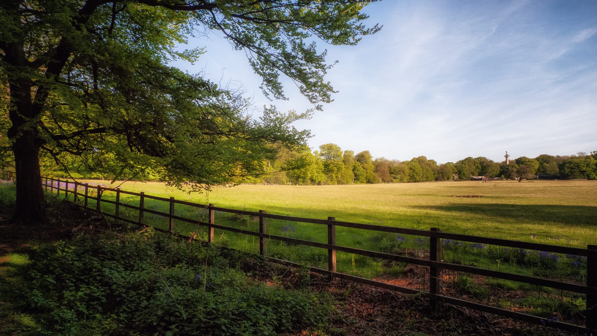 Ashridge Estate, Hertfordshire » Tim Smalley Photography